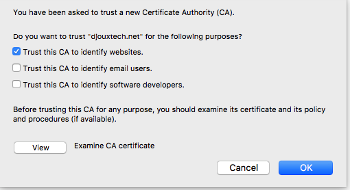 nginx client certificate authentication